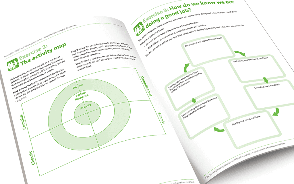 managers-organisation-sample - Strengthening Practice